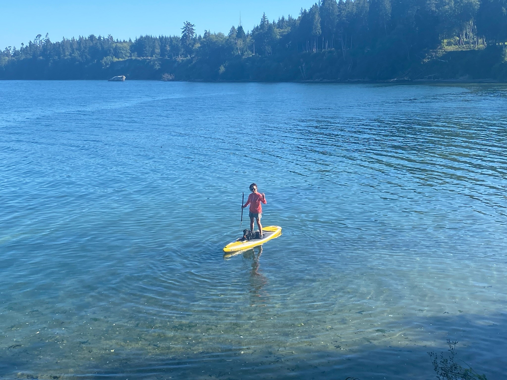 Face Time: Lara Macklin Of Seattle Children's Hospital - HCD Magazine