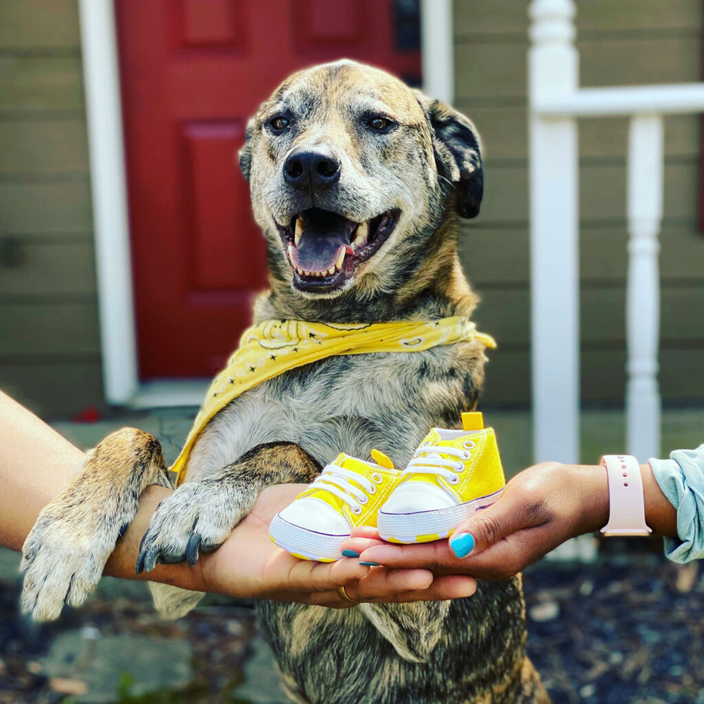 Ymani Mackey Of Dyer Brown & Associates: Face Time - HCD Magazine